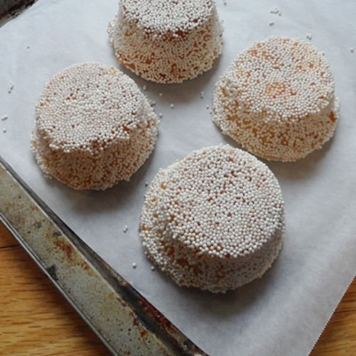 How to Make Garibaldi like El Globo - The Other Side of the Tortilla