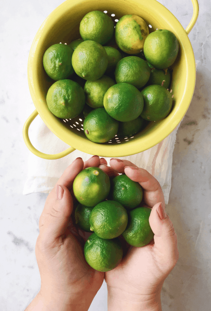 Guide to Mexican limes - The Other Side of the Tortilla