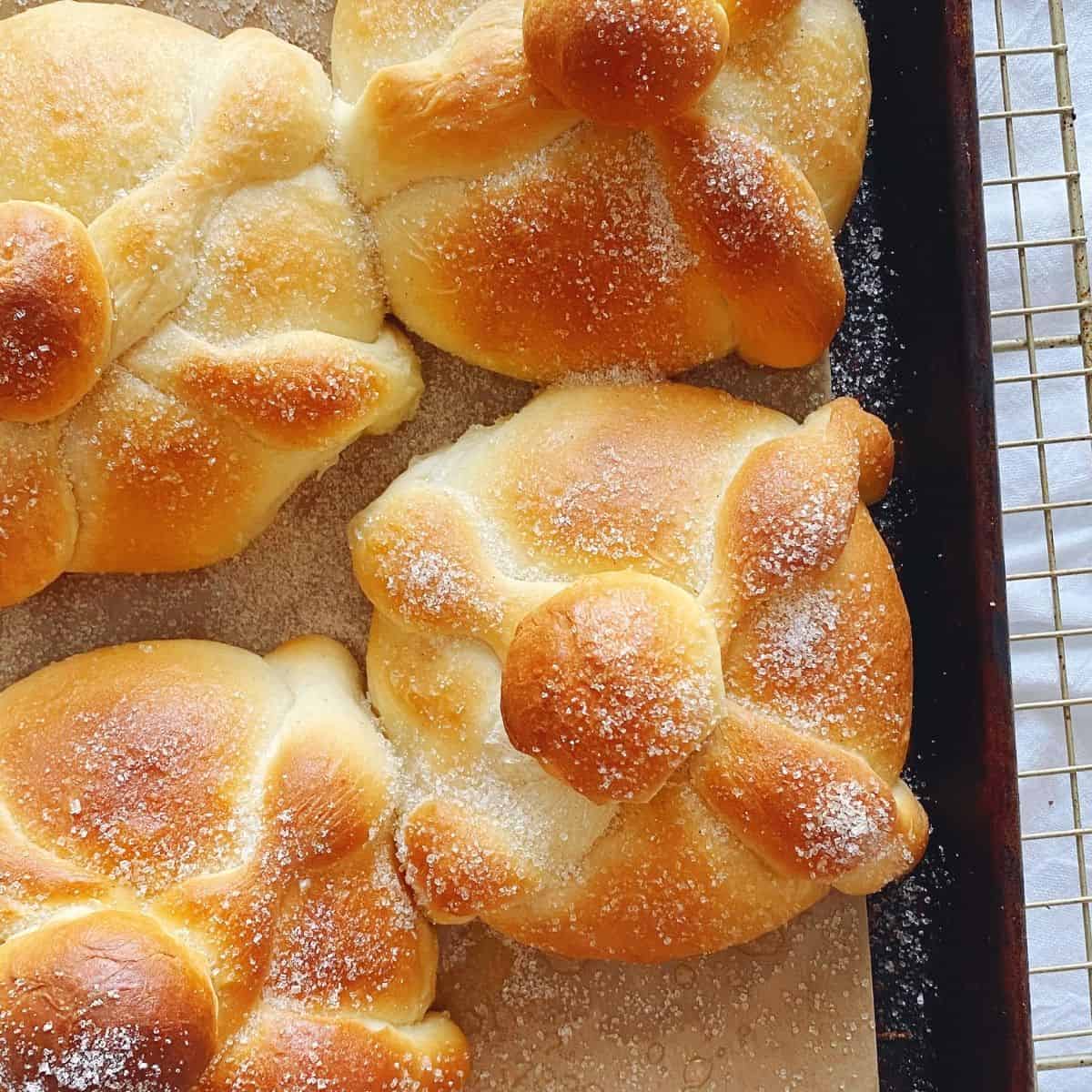 Guide to Mexican Pan Dulce - The Other Side of the Tortilla