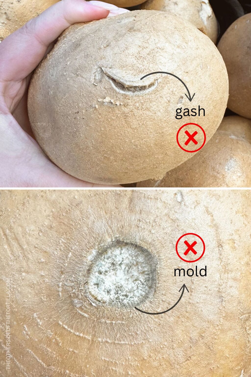 What is Jicama? - The Other Side of the Tortilla