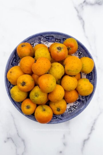 What are tejocotes? - The Other Side of the Tortilla